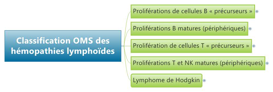 lymphoma care – Classification OMS des hémopathies lymphoïdes